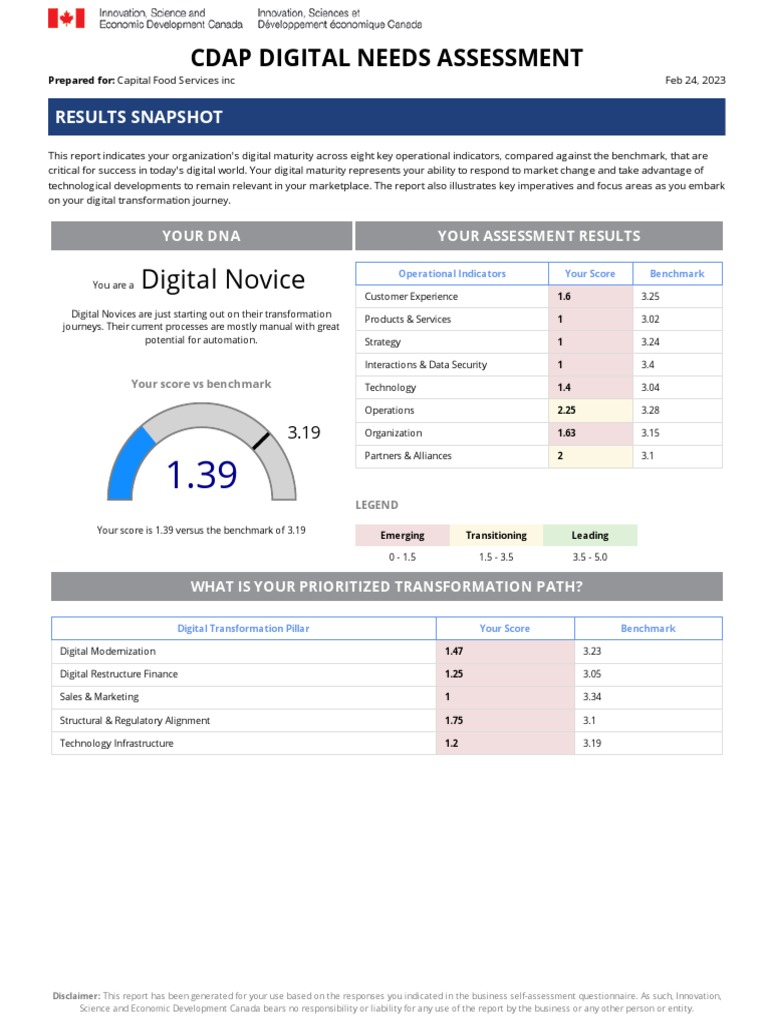 CDAP Digital Needs Assessment | PDF | Analytics | Digital Marketing