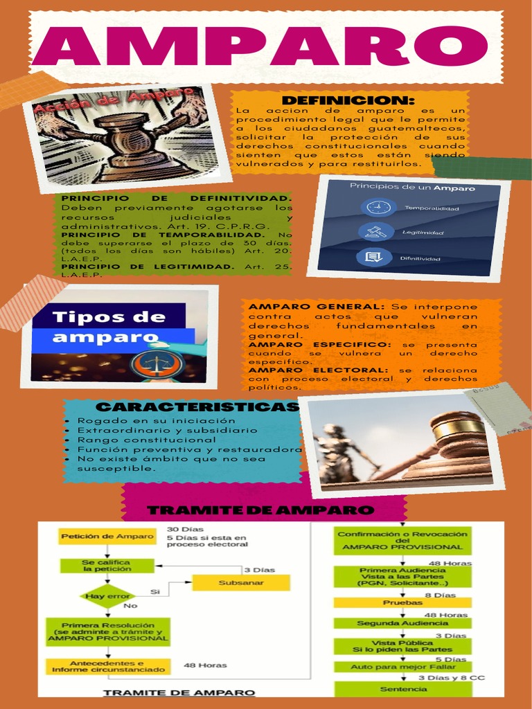 Infografía de Amparo | PDF