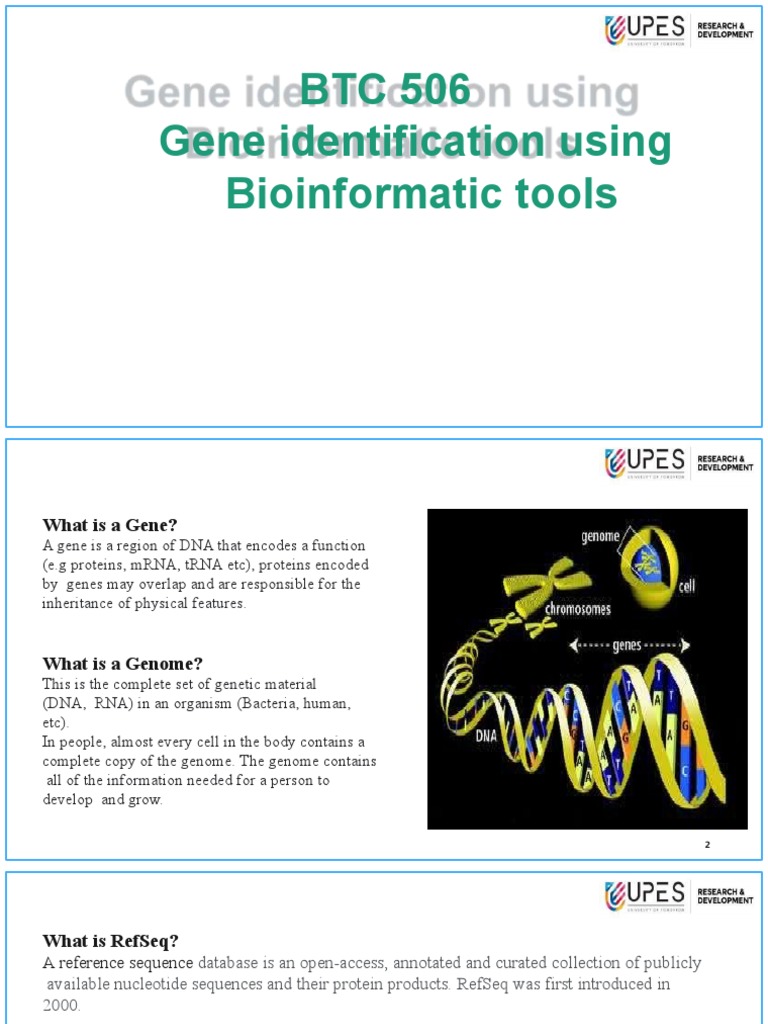 Btc 506 Gene Identification Using Bioinformatic Tools 230302130331 Pdf Promoter Genetics