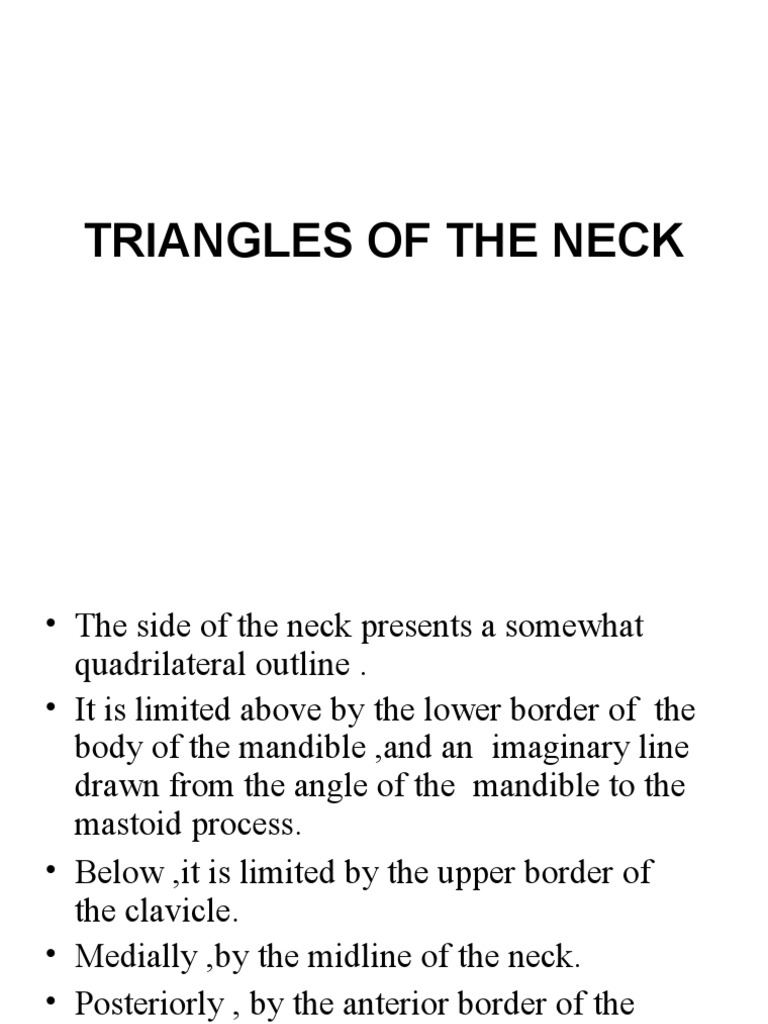 Neck Triangles for Medical Students | PDF | Neck | Common Carotid Artery