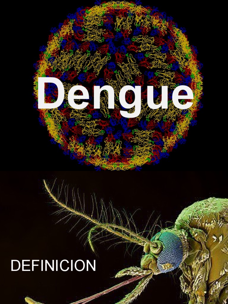 Dengue | PDF | Aedes aegypti | Epidemiología