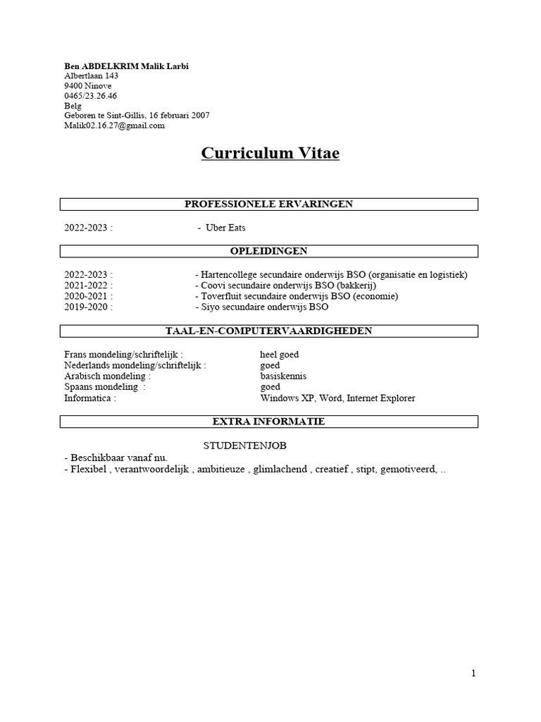 CV Malik Larbi 2022 | PDF