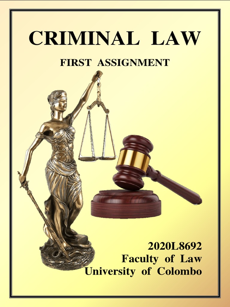 Criminal Law Assignment | PDF