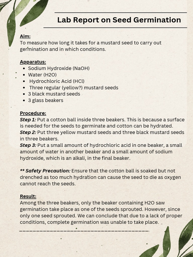 Mustard Seed Germination Experiment Report | PDF | Seed | Sodium Hydroxide