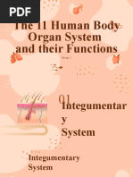 Plant and Animal Organ System and Their Functions | PDF | Human Body ...
