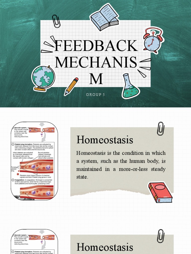 FEEDBACK MECHANISM Module 5 | PDF | Homeostasis | Thermoregulation