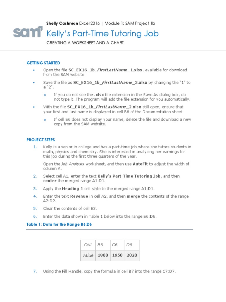 Instructions SC EX16 1b | PDF | Worksheet | Computing