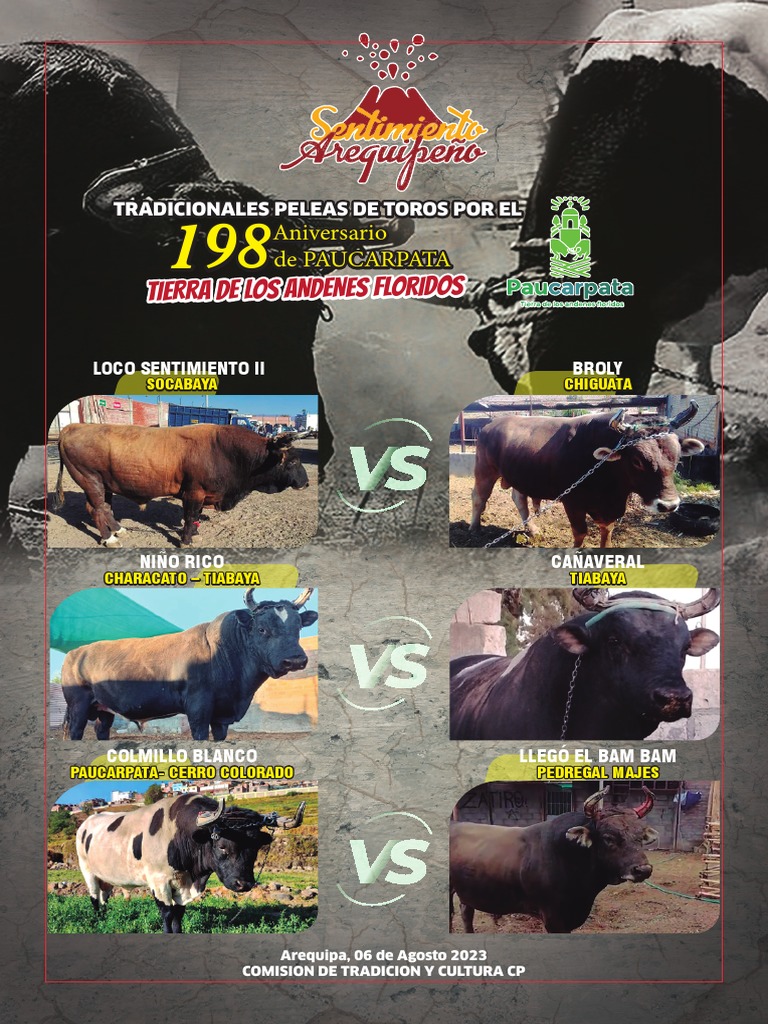 Revist Sentimiento Areq | PDF