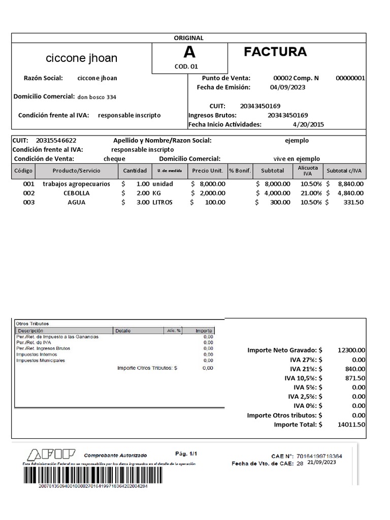 Simulador de Factura A | PDF | Contabilidad | Documentos empresariales