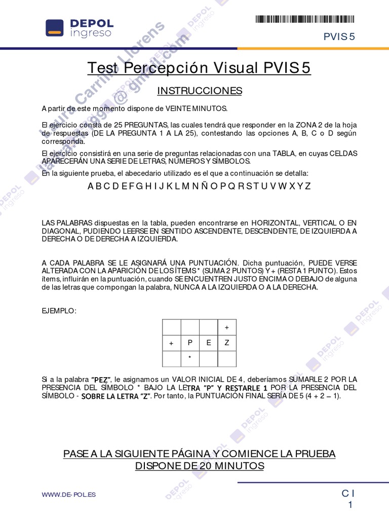 Test Percepcion Visual Pvis 5 | PDF