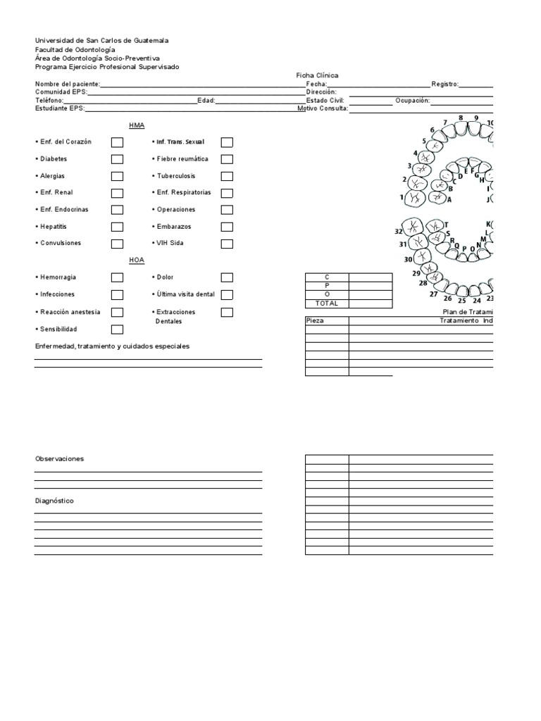 Formato Ficha Paciente (Excel) | PDF
