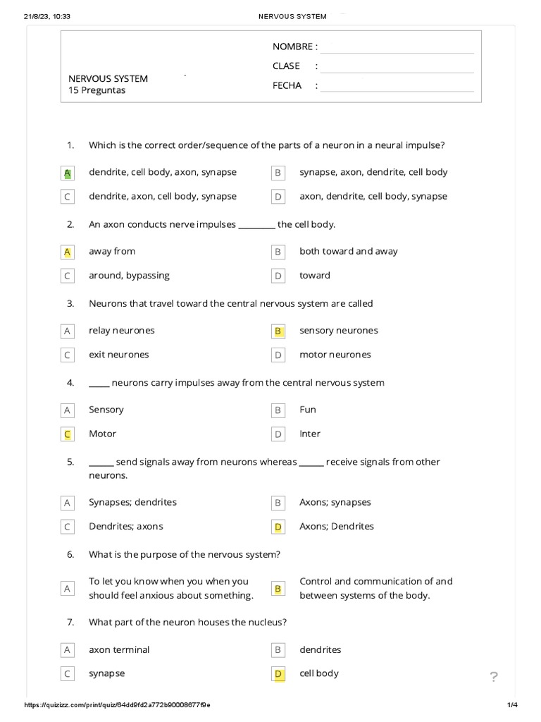 Nervous System Test | PDF | Nervous System | Central Nervous System