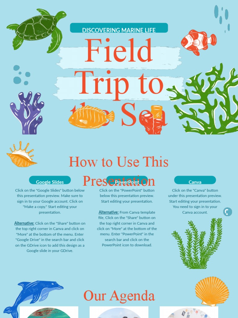 Virtual Field Trip to the Sea | PDF | Microsoft Power Point | Software