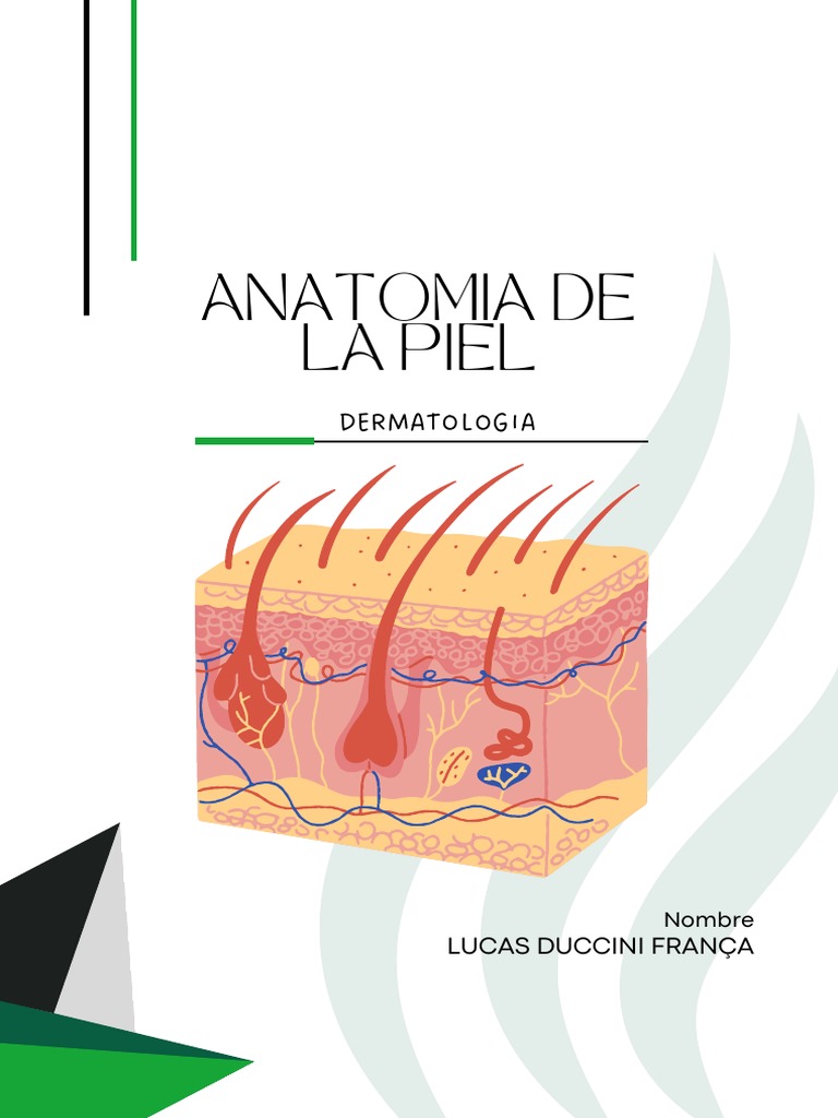 Resumen Anatomia de La Piel Lucas Duccini | PDF | Piel | Epidermis