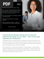 The Ultimate CISSP Study Plan | PDF | Information Security | Computer ...