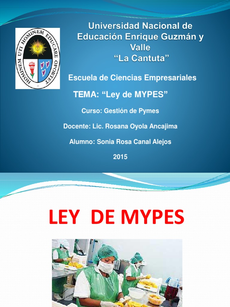 Ley Mype | PDF | Derecho laboral | Pequeñas y medianas empresas