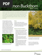 Native Plants for Banff Landscaping | PDF | Introduced Species ...