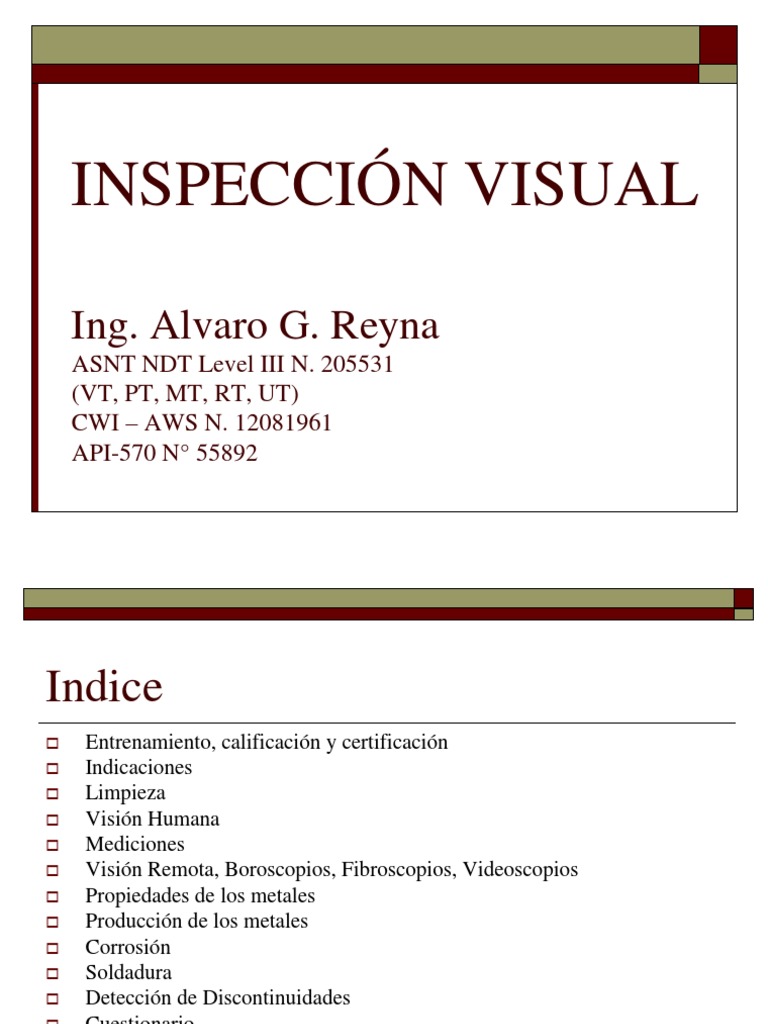 Inspeccion Visual I-II | PDF | Ojo humano | Visión