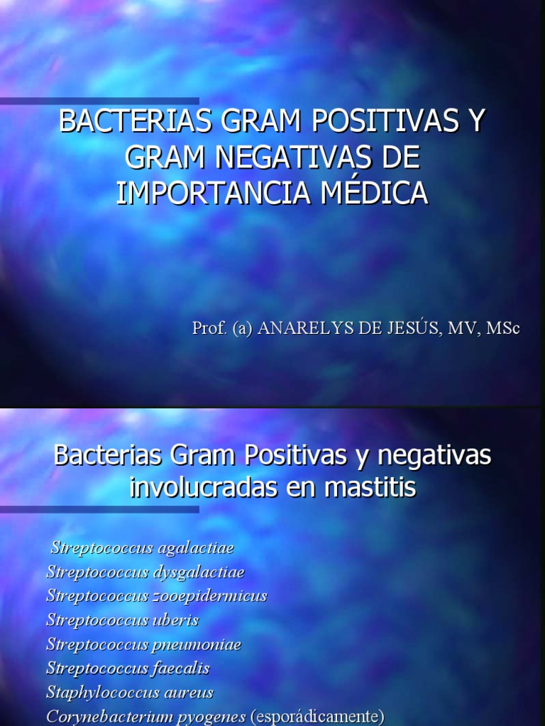 Bacterias Gram Positivas ANA | PDF | Escherichia coli | Estreptococo