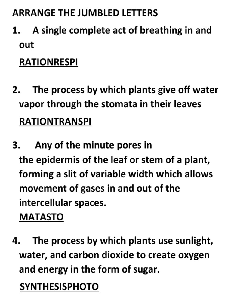 Arrange The Jumbled Letters | PDF | Home & Garden | Science & Mathematics