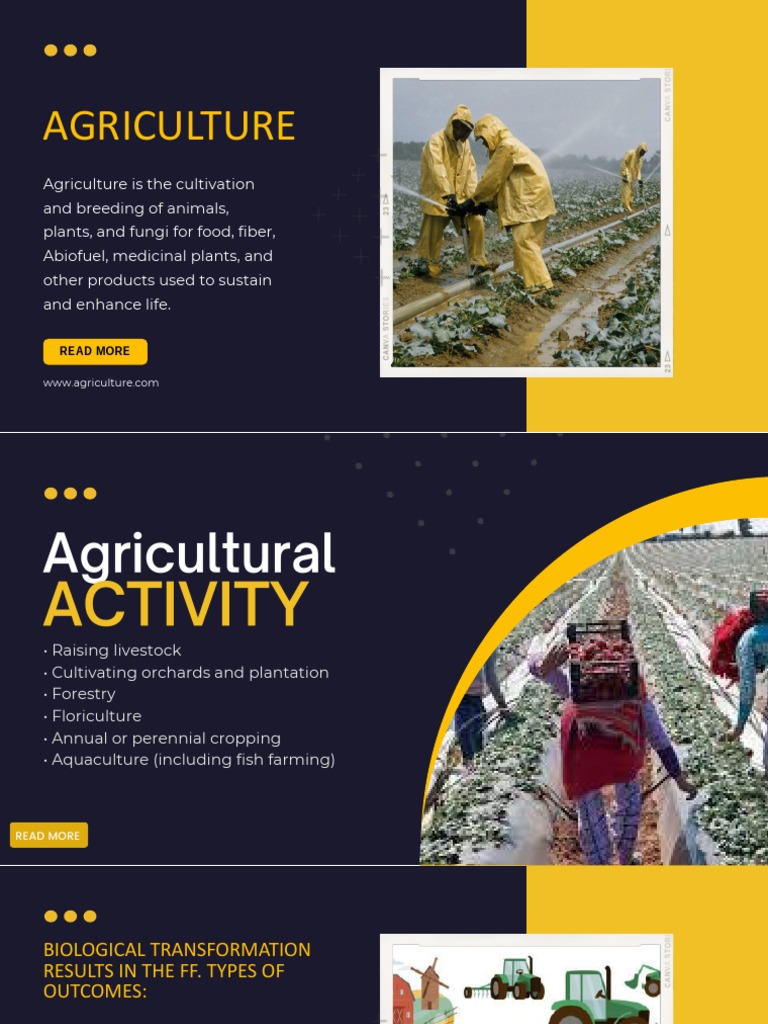 Audit Agriculture | PDF | Balance Sheet | Expense