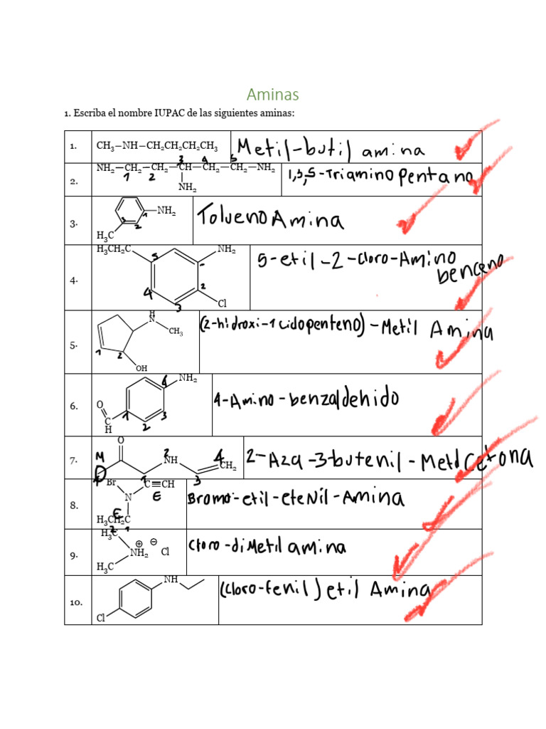Ejercicios Aminas y Amidas-2023-1 | PDF