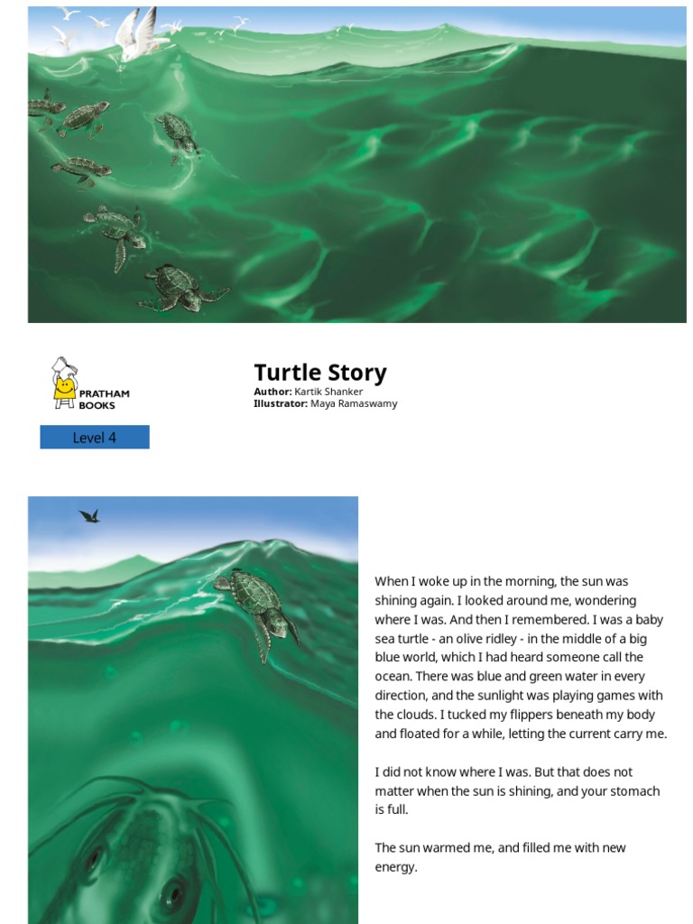 2308 Turtle Story FKB | PDF | Sea Turtle | Creative Commons License