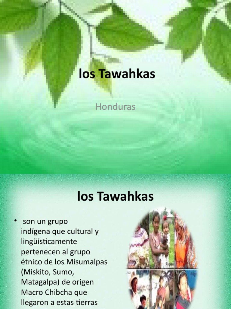 los Tawahkas presentacion final | PDF