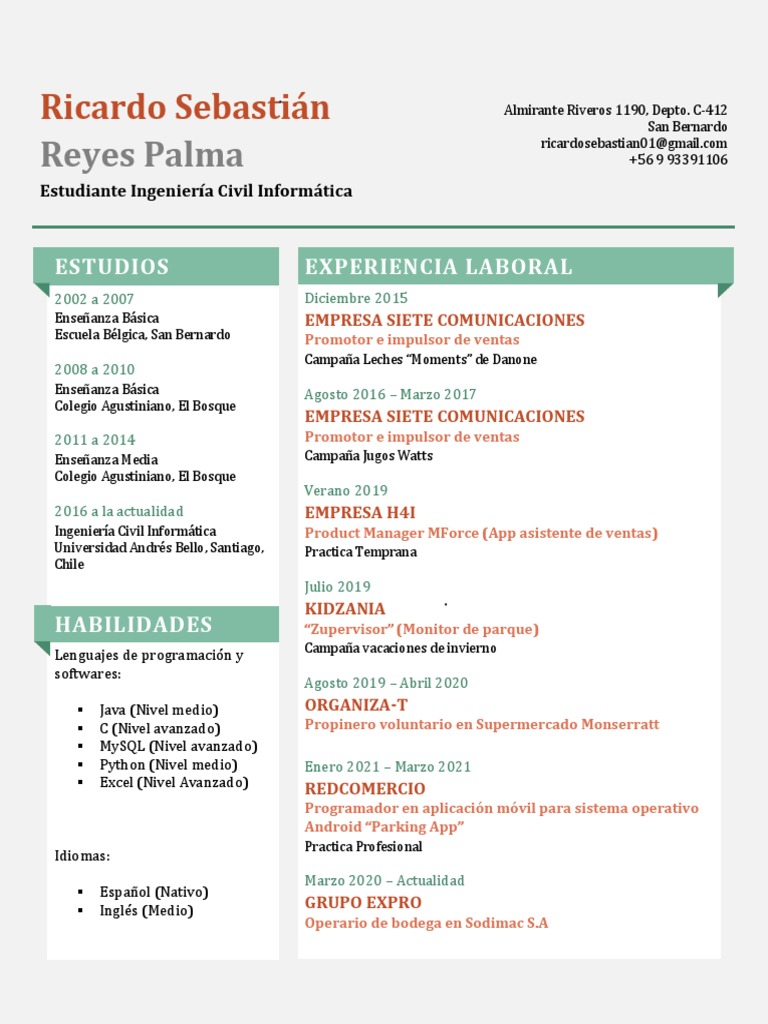 Curriculum Vitae 2021 Ricardo Reyes | PDF