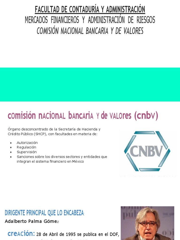 CNBV: Regulación y Riesgos Financieros | PDF | Inclusión financiera ...