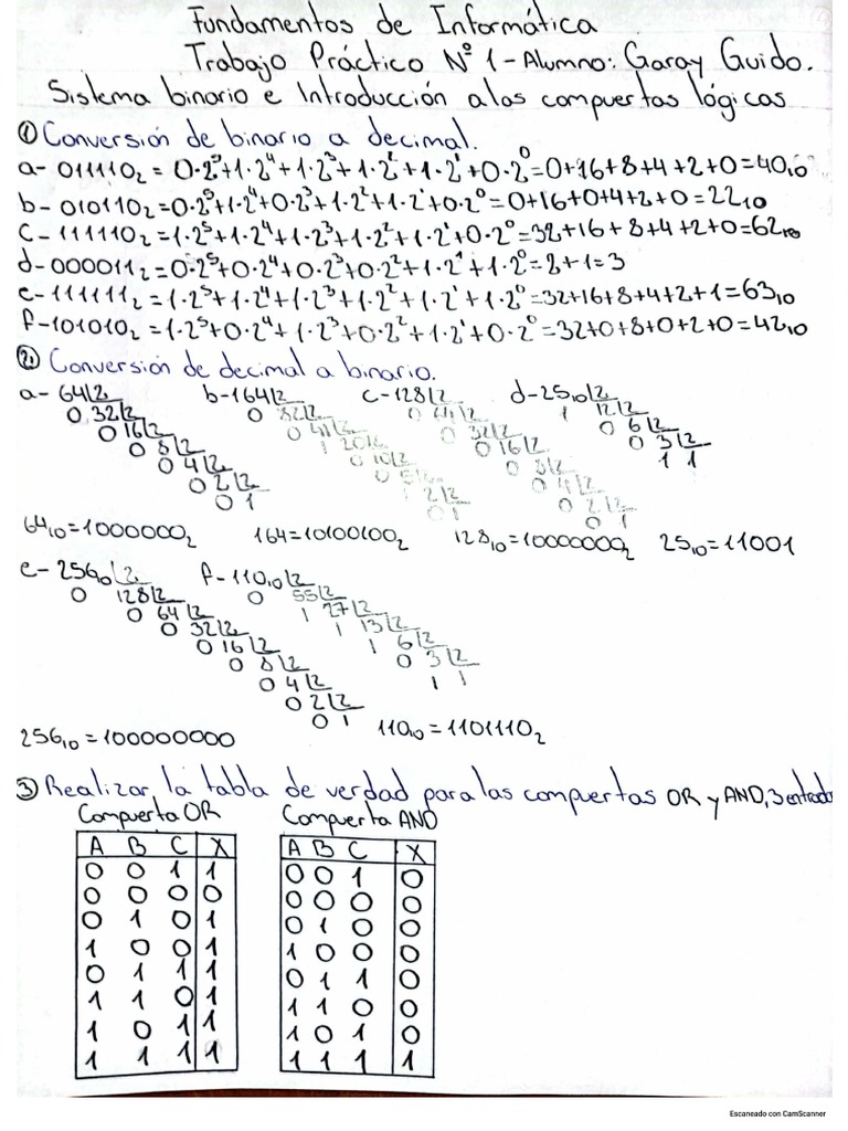 Trabajo Práctico N-1-Fundamentos de Informática | PDF Trabajo Práctico N-1-Fundamentos de Informática | PDF