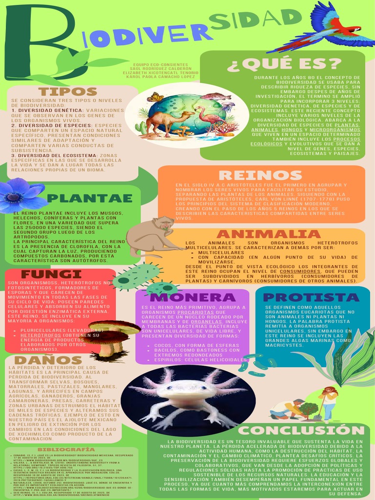 Infografía biodiversidad | PDF | Biodiversidad | Plantas