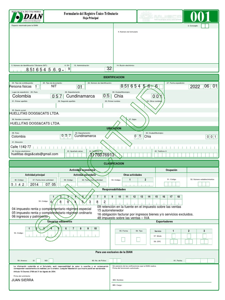 7 Formulario RUT PDF | PDF | Impuestos | Gobernancia
