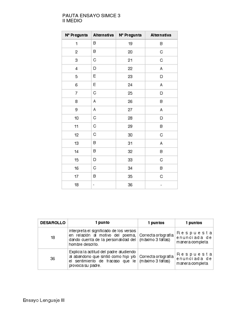 Pauta Ensayo Simce 3 | PDF