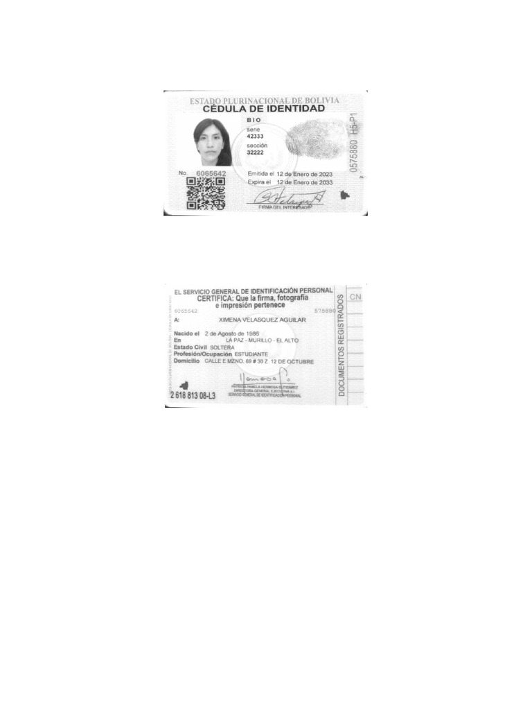 Fotocopia De Carnet Pdf