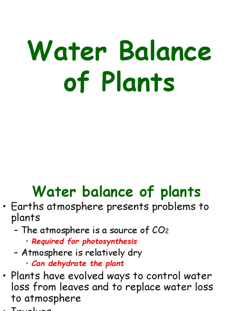 Water Balance of Plants-1 | PDF | Soil | Water