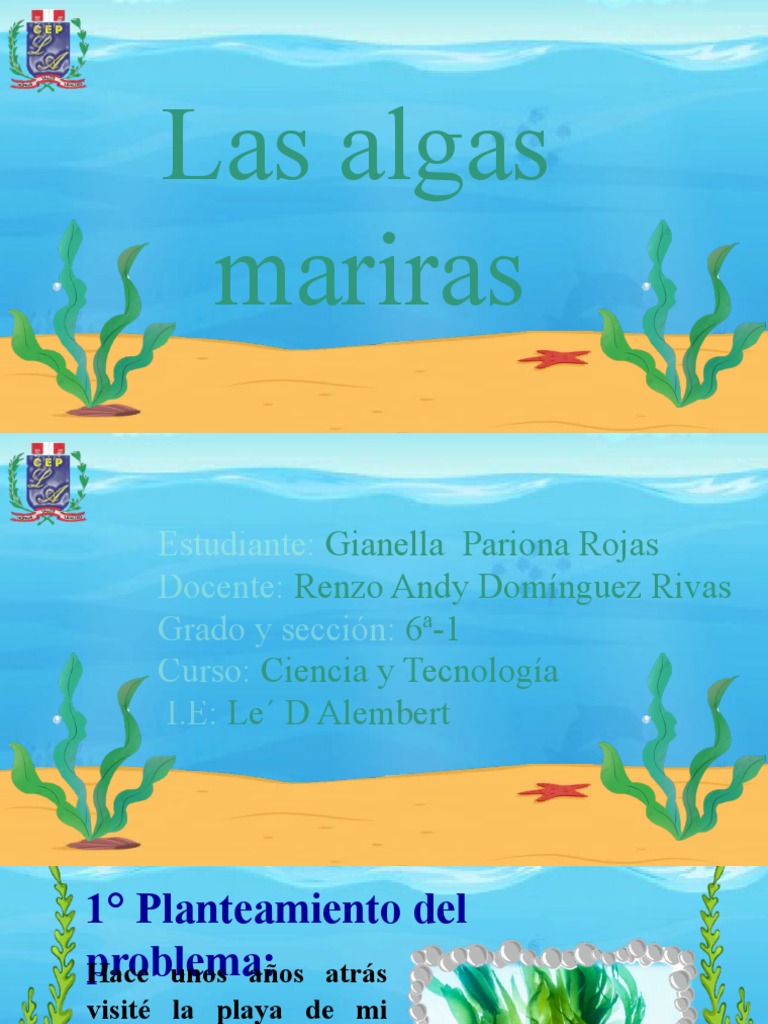 Proyecto Algas Marinas | PDF