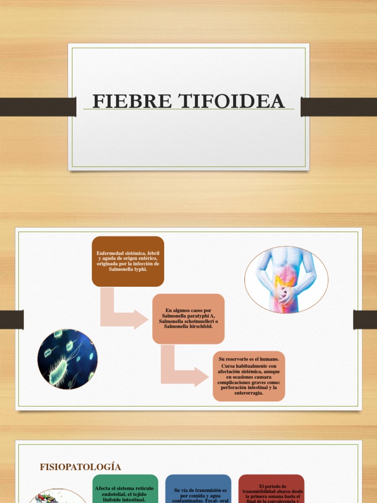 Fiebre Tifoidea: Diagnóstico y Tratamiento | PDF | Salmonela | Medicina ...