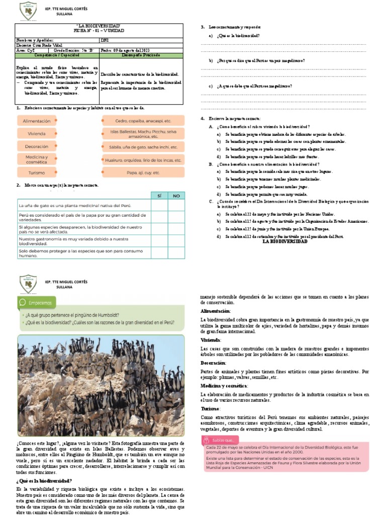 Ficha 01 - Cyt - La Biodiversidad | PDF | Biodiversidad | Perú