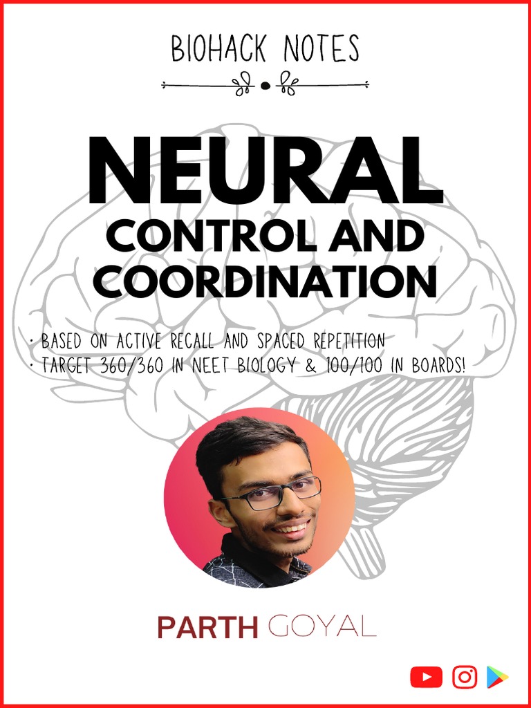 Coordination BioHack | PDF | Neuron | Nervous System
