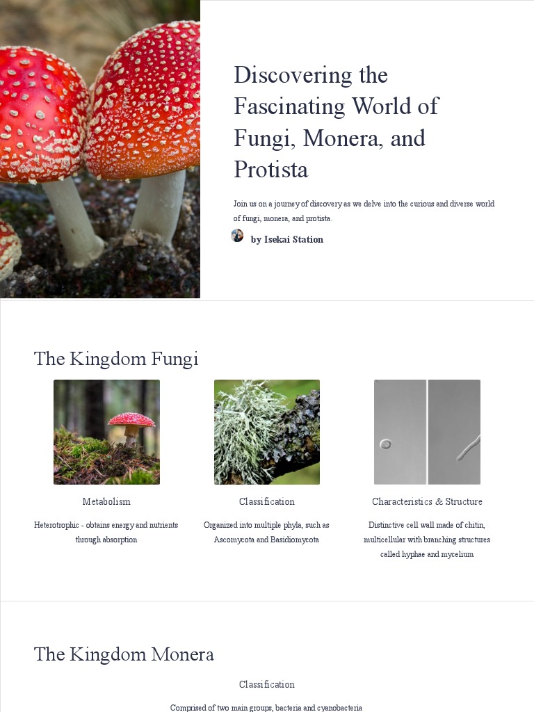 Discovering the Fascinating World of Fungi Monera and Protista | PDF ...