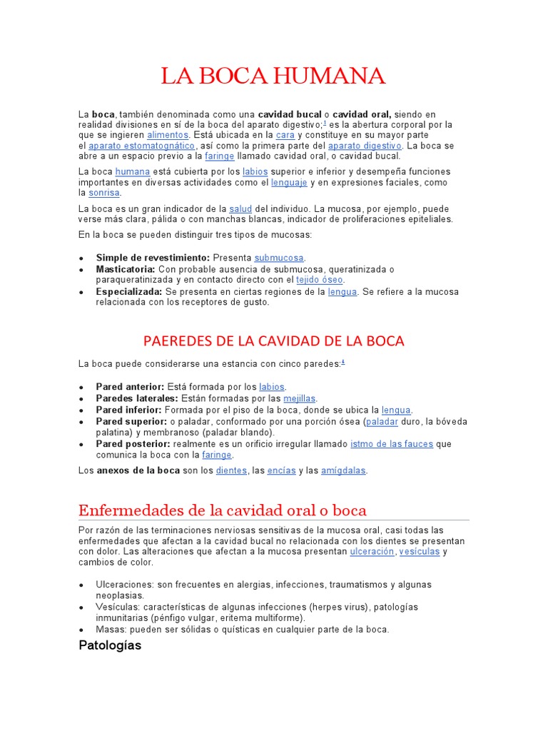 La Boca Humana | PDF | Boca | Especialidades Medicas