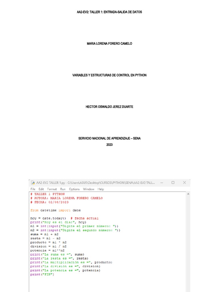 Taller de Python: Entrada y Salida | PDF