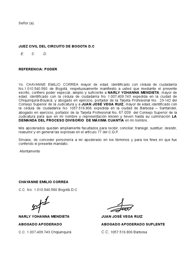 Poder de Representación Proceso Divisorio | PDF