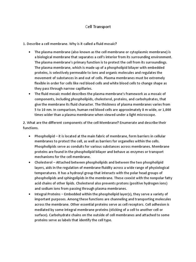 Cell Transport | PDF | Cell Membrane | Cell (Biology)