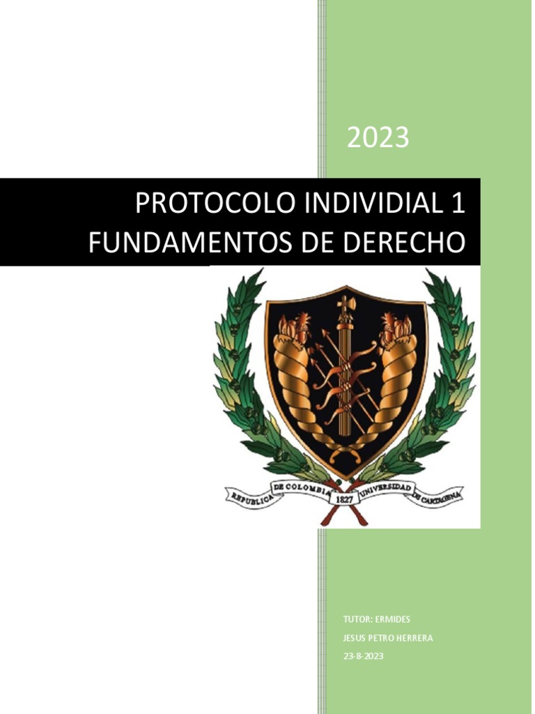 PROTOCOLO INDIVIDUAL 1.pdf Jesus | PDF | Constitución | Separación de poderes