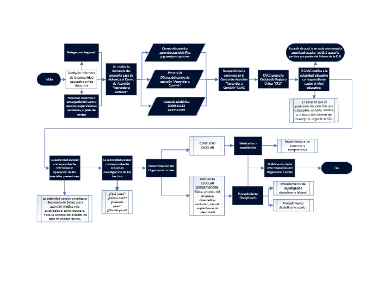 Protocolo de Atención Flujograma | PDF