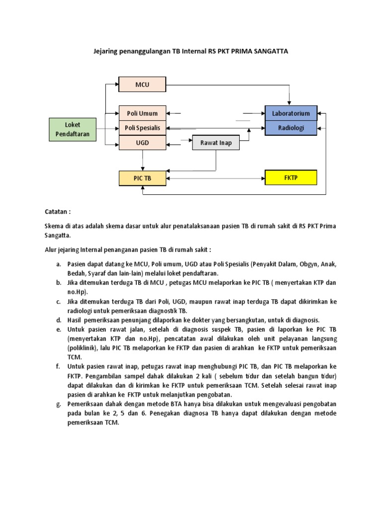 Jejaring Penanggulangan TB Internal RS PKT PRIMA SANGATTA | PDF