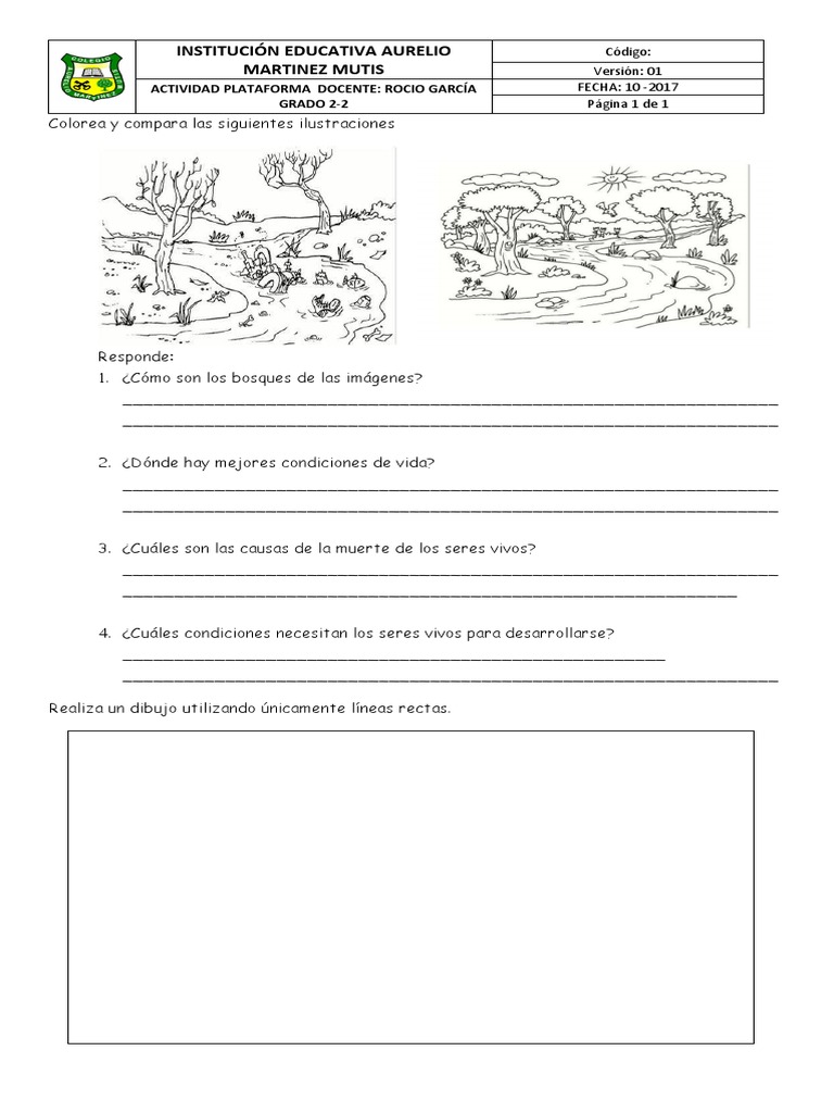 Actividad de Ciencias | PDF