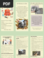 Afiche de Los Desastre Naturales | PDF